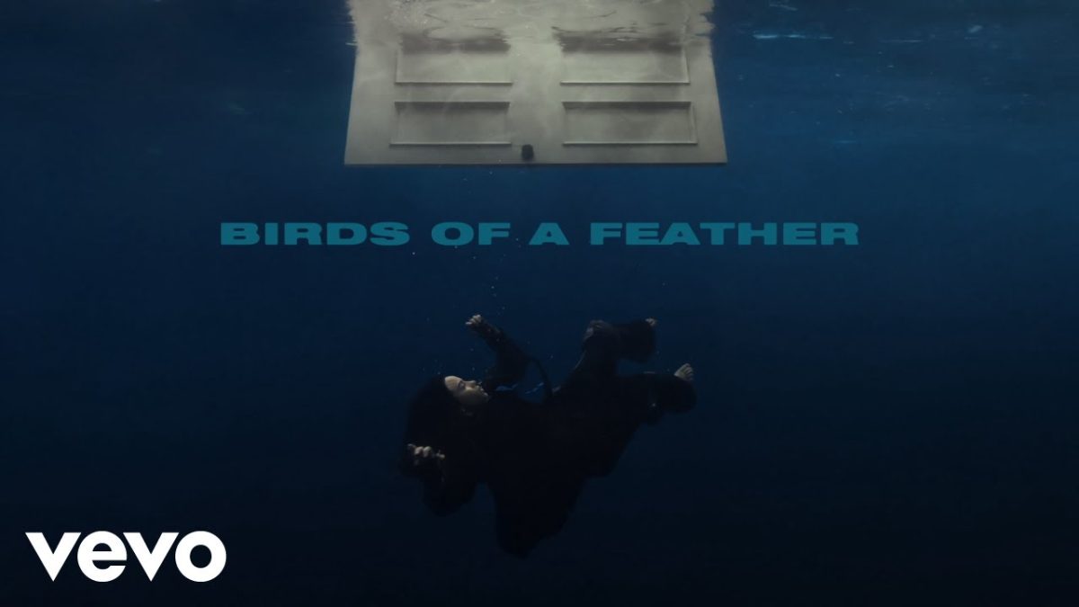 Billie Eilish - BIRDS OF A FEATHER 中英歌詞 | 同類相棲 怪奇比莉 - RosyArts